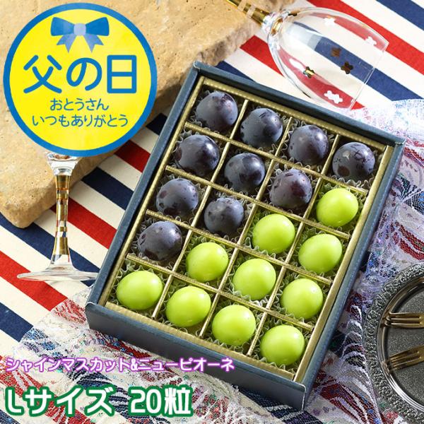 ニューピオーネは大粒でジューシーな黒ぶどう。シャインマスカットは岡山を代表するパリパリ食感とマスカット特有の香りを楽しめる高級ぶどう。2色のぶどうを食べ比べられるジュエルセレクション。大切な方への贈り物としてぜひおすすめします。※画像はイメ...
