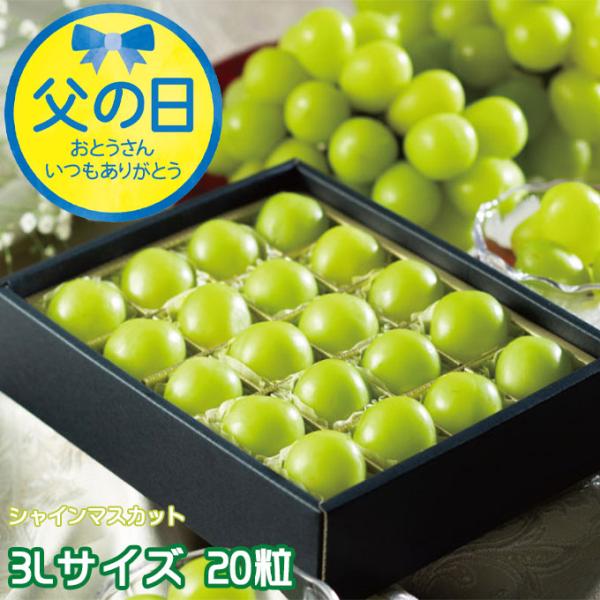 シャインマスカットは、大粒で種が無く、甘く豊潤なマスカットの香りがするまるごと皮ごと食べられる葡萄です。厳選して宝石箱に詰め込まれた特別な20粒です。ご家庭用にはもちろん、大切な方への贈り物や気心の知れた方へのギフトとしても最適です。※画像...
