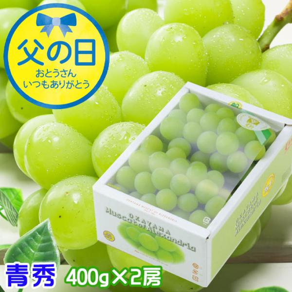 マスカットオブアレキサンドリアは岡山を代表する葡萄の品種です。粒がエメラルドグリーンに琥珀色がかったような黄緑色になった頃が食べ頃。食べる前に30分程冷やして食べるとおいしく食べられます。　皮を剥かずにそのままお召し上がりになられますと、パ...