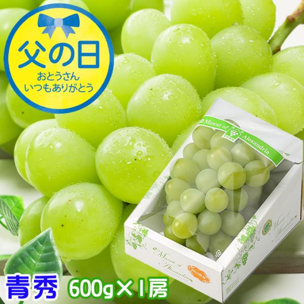 マスカットオブアレキサンドリアは岡山を代表する葡萄の品種です。粒がエメラルドグリーンに琥珀色がかったような黄緑色になった頃が食べ頃。食べる前に30分程冷やして食べるとおいしく食べられます。　皮を剥かずにそのままお召し上がりになられますと、パ...