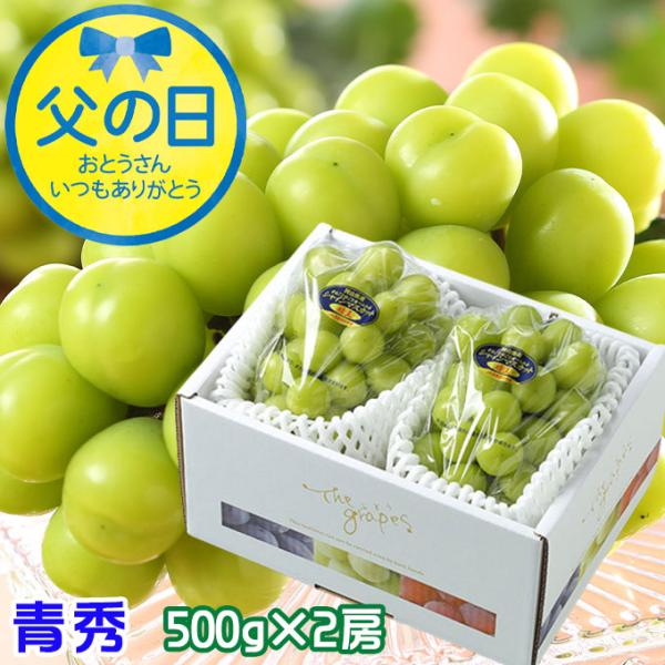 ネットで買える！おかやま果物・野菜シャインマスカットは、大粒で種が無く、甘く豊潤なマスカットの香りがする皮ごと食べられる次世代の葡萄です。『晴王』とは、その中でも『高糖度・大粒・美しい房の姿』など厳しい選果基準をクリアする事のできた高品質の...