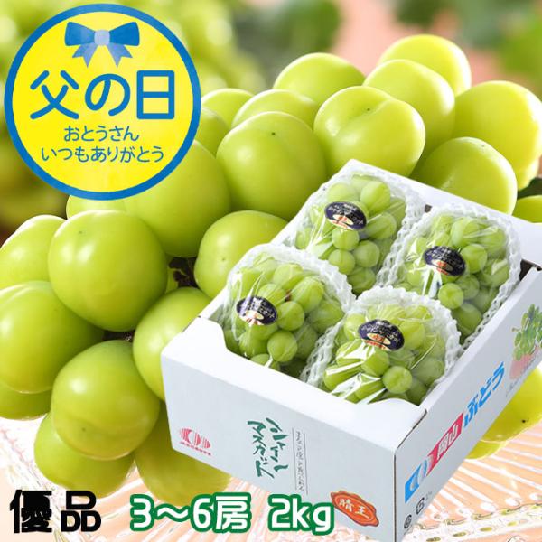 ネットで買える！おかやま果物・野菜シャインマスカットは、大粒で種が無く、甘く豊潤なマスカットの香りがする皮ごと食べられる次世代の葡萄です。『晴王』とは、その中でも『高糖度・大粒・美しい房の姿』など厳しい選果基準をクリアする事のできた高品質の...