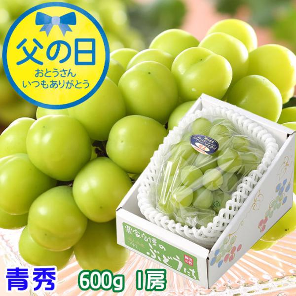 ネットで買える！おかやま果物・野菜シャインマスカットは、大粒で種が無く、甘く豊潤なマスカットの香りがする皮ごと食べられる次世代の葡萄です。『晴王』とは、その中でも『高糖度・大粒・美しい房の姿』など厳しい選果基準をクリアする事のできた高品質の...