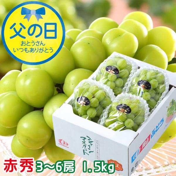 ネットで買える！おかやま果物・野菜シャインマスカットは、大粒で種が無く、甘く豊潤なマスカットの香りがする皮ごと食べられる次世代の葡萄です。『晴王』とは、その中でも『高糖度・大粒・美しい房の姿』など厳しい選果基準をクリアする事のできた高品質の...