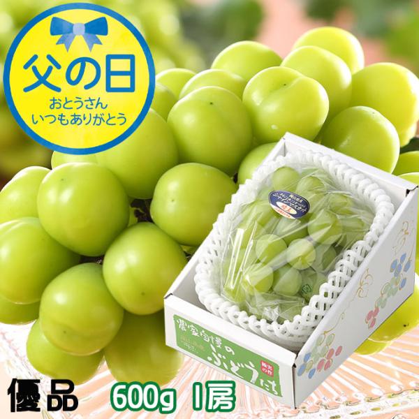 ネットで買える！おかやま果物・野菜シャインマスカットは、大粒で種が無く、甘く豊潤なマスカットの香りがする皮ごと食べられる次世代の葡萄です。『晴王』とは、その中でも『高糖度・大粒・美しい房の姿』など厳しい選果基準をクリアする事のできた高品質の...