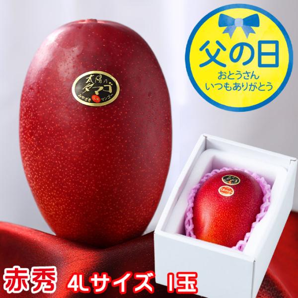 宮崎県産の完熟マンゴーは、アーウィン種で通称アップルマンゴーとも呼ばれ、日本での栽培の96%を占めるマンゴーの中でも一番人気のある種類です。「完熟」の名にふさわしく、木になっているマンゴーの下に袋状のネットをかけ、マンゴーが完全に熟して自然...