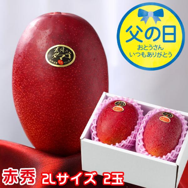 宮崎県産の完熟マンゴーは、アーウィン種で通称アップルマンゴーとも呼ばれ、日本での栽培の96%を占めるマンゴーの中でも一番人気のある種類です。「完熟」の名にふさわしく、木になっているマンゴーの下に袋状のネットをかけ、マンゴーが完全に熟して自然...