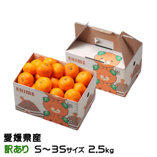愛媛県産みかんより、特別限定品として、小玉、S〜3Sサイズをお届けします。小玉サイズのみかんは、糖度が非常に高く、濃い味が特徴です。ぜひこの機会にご賞味ください。果物が一番美味しく育つ特等席は、木の上部の外側の枝先にあります。太陽の光をいっ...