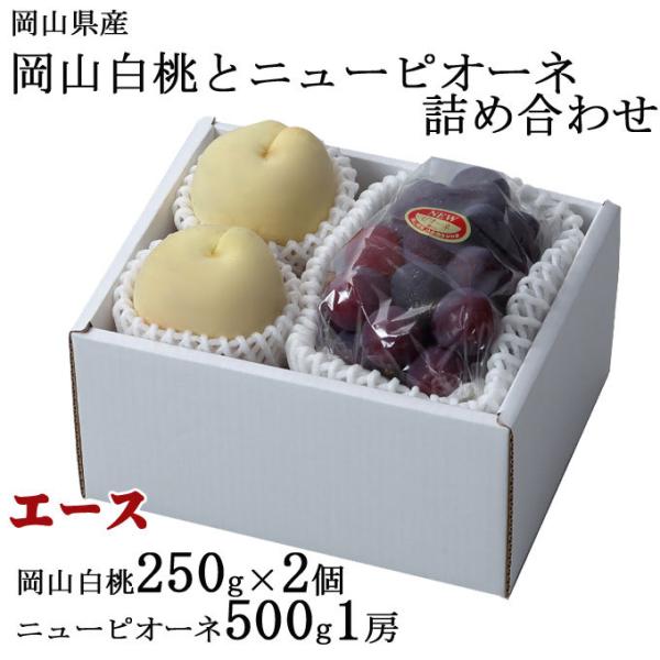 岡山を代表する果物、桃とニューピオーネの詰め合わせです。贈り物にされたらきっと大喜びしていただけるでしょう。※画像はイメージです。※天候等により出荷時期が前後する場合がございます。果物 フルーツ 旬 ギフト 贈り物 お礼 内祝 御供 ギフト...
