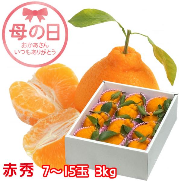 愛知県蒲郡産の樹熟デコポンです。デコポンは果肉はやわらかくジューシーで、ポンカンに似た香りを持ちます。甘みが強く、ほどよい酸味があり濃厚な味わいです。樹上完熟デコポンは収穫間際まで樹上で熟成させることによってより一層美味しくまろやかに仕上が...