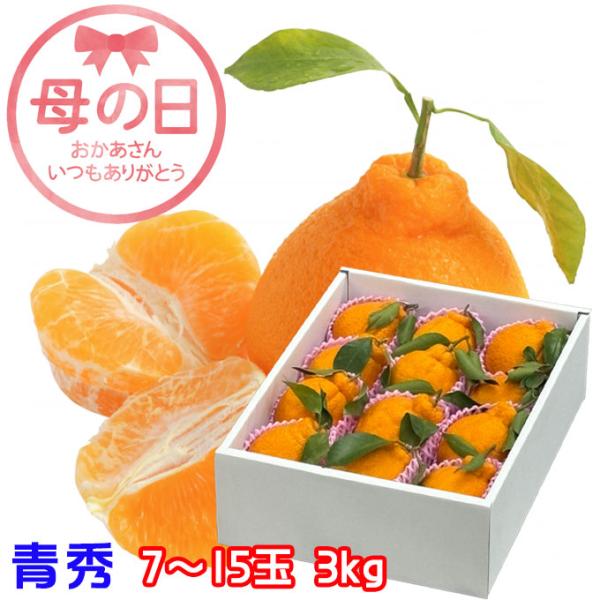 愛知県蒲郡産の樹熟デコポンです。デコポンは果肉はやわらかくジューシーで、ポンカンに似た香りを持ちます。甘みが強く、ほどよい酸味があり濃厚な味わいです。樹上完熟デコポンは収穫間際まで樹上で熟成させることによってより一層美味しくまろやかに仕上が...