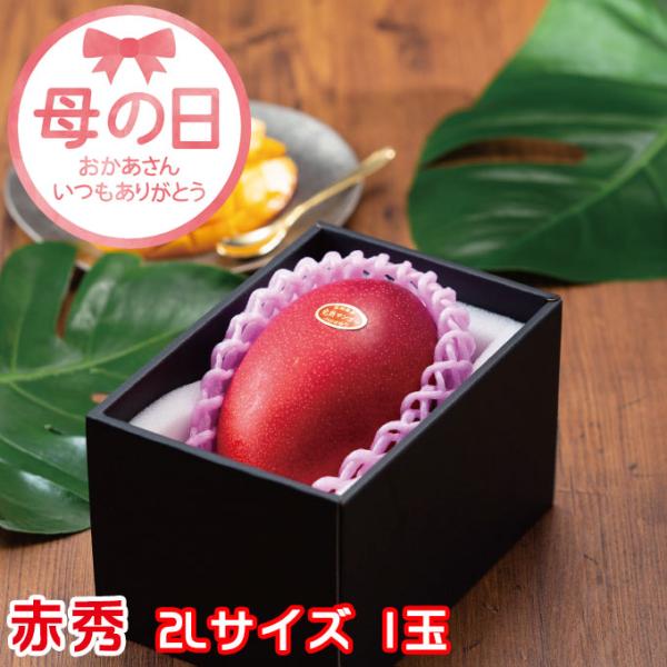 宮崎県産の完熟マンゴーは、アーウィン種で通称アップルマンゴーとも呼ばれ、日本での栽培の96%を占めるマンゴーの中でも一番人気のある種類です。「完熟」の名にふさわしく、木になっているマンゴーの下に袋状のネットをかけ、マンゴーが完全に熟して自然...