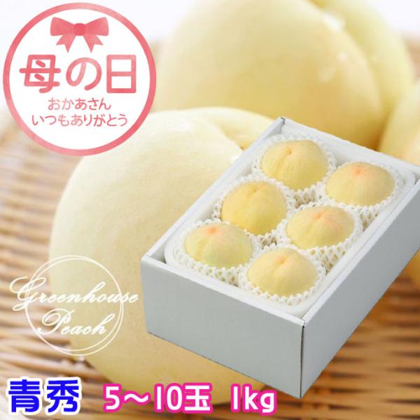 岡山県産の温室栽培の白桃を一足先にお届けします。現在、生産者はたった１人ですので数量限定の販売となります。品種は「はなよめ」・「日川白鳳」・「白鳳」の3品種となります。果物 フルーツ 旬 ギフト 贈り物 お礼 内祝 御供 ギフト プチギフト...