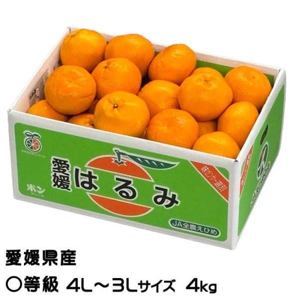 「はるみ」は「清見ダンゴール」と「ポンカン」の交雑種。甘くて果汁たっぷり！ポンカン系の爽やかな味わい。手で簡単に皮をむくことができ、ポンカンゆずりの香りが広がります。プチプチとした食感は「はるみ」独特のものです。※画像はイメージです。※天候...