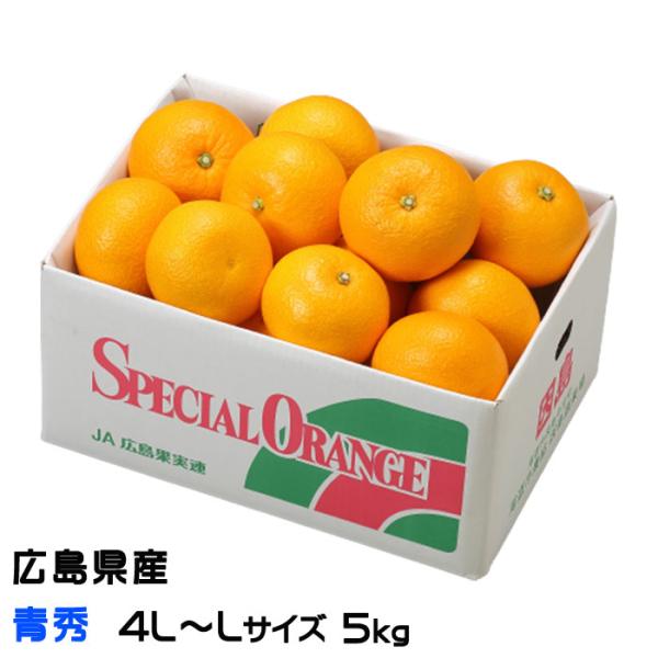 はっさくは上品な甘さと食感で今なお支持者が多い柑橘です。果汁は柑橘類の中ではやや少なめで、プリプリとした歯ごたえのある食感を楽しめます。香りがよく、甘さと酸味が調和した爽やかな風味です。ご家庭用にはもちろん、大切な方への贈り物やギフトなどに...