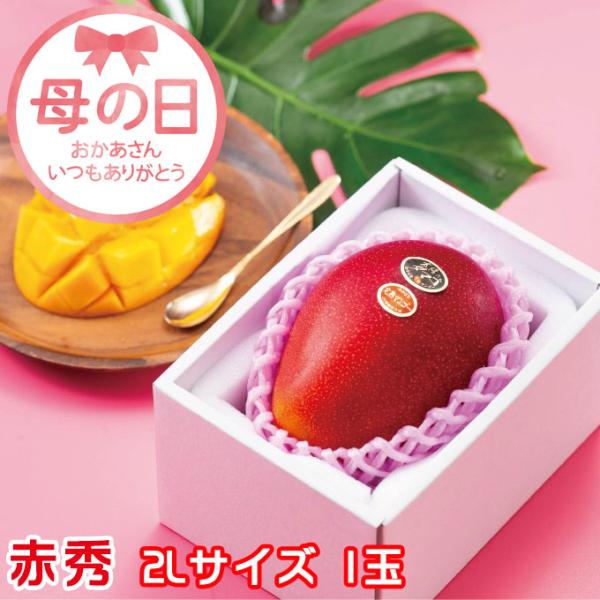 宮崎県産の完熟マンゴーは、アーウィン種で通称アップルマンゴーとも呼ばれ、日本での栽培の96%を占めるマンゴーの中でも一番人気のある種類です。「完熟」の名にふさわしく、木になっているマンゴーの下に袋状のネットをかけ、マンゴーが完全に熟して自然...