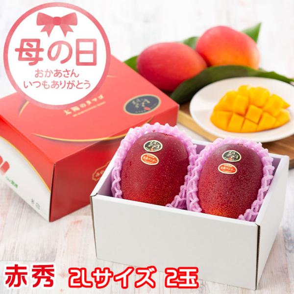 宮崎県産の完熟マンゴーは、アーウィン種で通称アップルマンゴーとも呼ばれ、日本での栽培の96%を占めるマンゴーの中でも一番人気のある種類です。「完熟」の名にふさわしく、木になっているマンゴーの下に袋状のネットをかけ、マンゴーが完全に熟して自然...