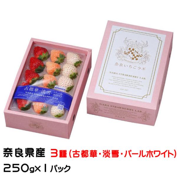 「奈良いちごラボ」奈良県のいちご生産者が品質にこだわったいちごを作っています。希少のいちごのセットを、大切な方へのギフト、自分のご褒美におすすめです。※画像はイメージです。※天候等により出荷時期が前後する場合がございます。果物 フルーツ 旬...