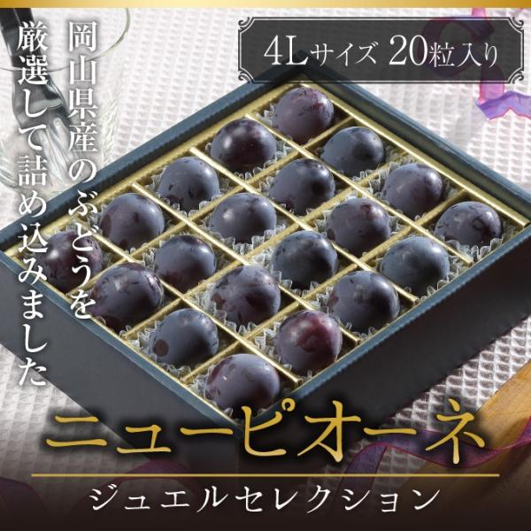 ニューピオーネは岡山生まれの種なし葡萄です。食べ応え抜群の大粒、芳醇で溢れるほどの甘い果汁と16度を超える高い糖度、それを引き立てるわずかな酸味との絶妙なバランス。しかも種無しで皮離れが良いので食べやすい大人気の品種です。※画像はイメージで...