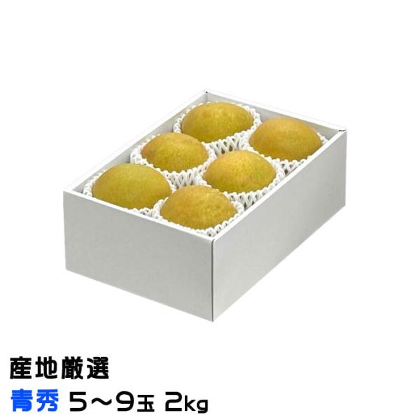 糖度が高く、果肉はやわらかく、果汁もたっぷりで、酸味は少しありますが、糖度の高さと相まって食味は濃厚です。※画像はイメージです。※天候等により出荷時期が前後する場合がございます。果物 フルーツ 旬 ギフト 贈り物 お礼 内祝 御供 ギフト ...