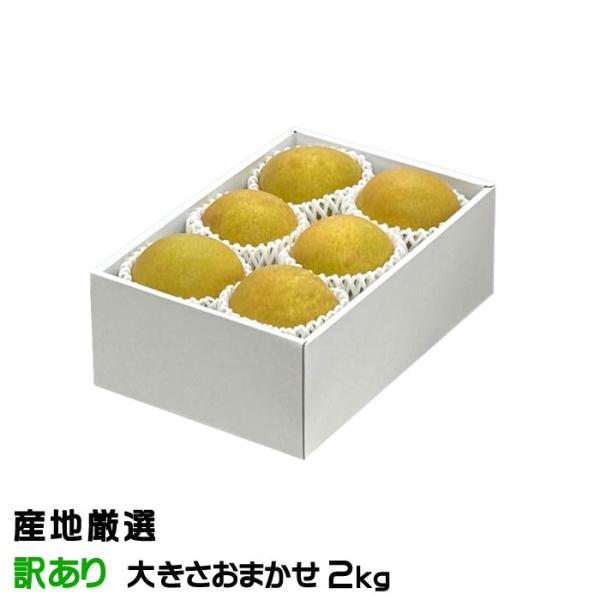 糖度が高く、果肉はやわらかく、果汁もたっぷりで、酸味は少しありますが、糖度の高さと相まって食味は濃厚です。※画像はイメージです。※天候等により出荷時期が前後する場合がございます。※ご家庭用の訳あり品です。キズ等で見た目が悪い果実を含みます。...