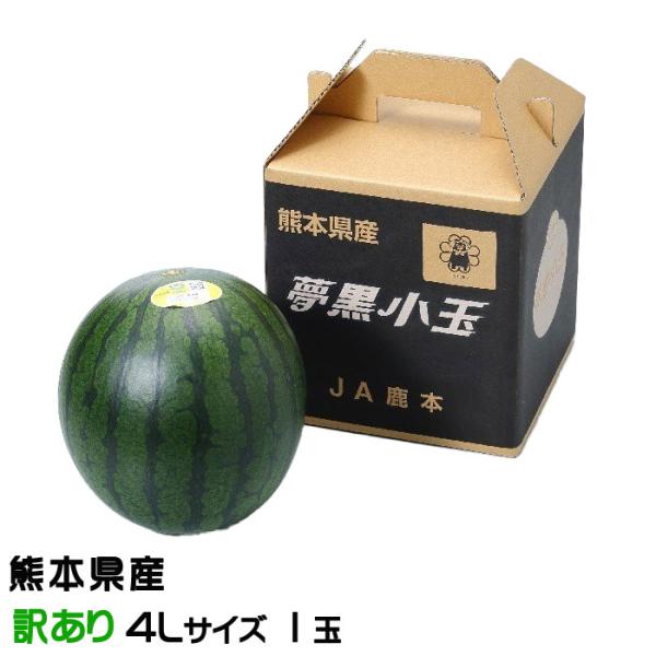 すいかの生産量日本一の熊本の名作「小玉すいか」。表面が黒いぐらい緑色が濃く、縞模様が目立たない品種です。小玉だから濃厚な甘みがギュッと凝縮されているだけでなく、皮が薄く可食部たっぷり皮目ギリギリまで甘さが続きます。熊本の豊富な水資源と寒暖差...