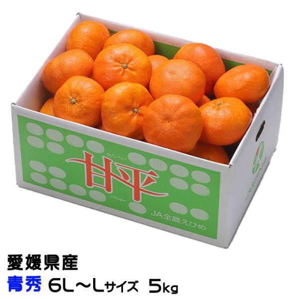 甘平は今までの柑橘にはないシャキシャキとした独特の食感が特徴です。中の袋はみかんよりも薄く、種も殆どないので房ごと食べられます。ジューシーな果肉はプチプチ弾ける食感で、食べ応え満点です。当店の人気ナンバーワン商品となっております。ご家庭用に...