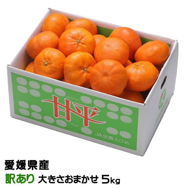 甘平は今までの柑橘にはないシャキシャキとした独特の食感が特徴です。中の袋はみかんよりも薄く、種も殆どないので房ごと食べられます。ジューシーな果肉はプチプチ弾ける食感で、食べ応え満点です。果物が一番美味しく育つ特等席は、木の上部の外側の枝先に...