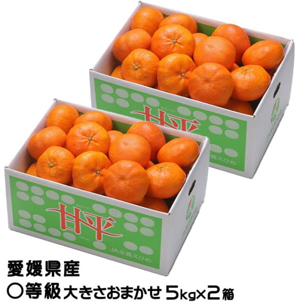 甘平は今までの柑橘にはないシャキシャキとした独特の食感が特徴です。中の袋はみかんよりも薄く、種も殆どないので房ごと食べられます。ジューシーな果肉はプチプチ弾ける食感で、食べ応え満点です。当店の人気ナンバーワン商品となっております。ご家庭用に...