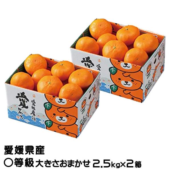 甘平は今までの柑橘にはないシャキシャキとした独特の食感が特徴です。中の袋はみかんよりも薄く、種も殆どないので房ごと食べられます。ジューシーな果肉はプチプチ弾ける食感で、食べ応え満点です。当店の人気ナンバーワン商品となっております。ご家庭用に...