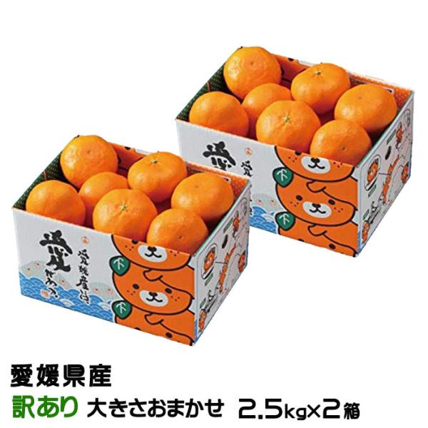 甘平は今までの柑橘にはないシャキシャキとした独特の食感が特徴です。中の袋はみかんよりも薄く、種も殆どないので房ごと食べられます。ジューシーな果肉はプチプチ弾ける食感で、食べ応え満点です。果物が一番美味しく育つ特等席は、木の上部の外側の枝先に...