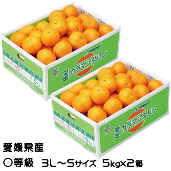 カラマンダリンはいろいろな柑橘の中で、最も樹になっている期間が長いため果汁がとても濃厚で、しかもジューシーです。濃厚な甘味とそれを支えるしっかりとした酸が感じられ、コクのある味わいをもつ柑橘です。ご家庭用にはもちろん、大切な方への贈り物やギ...