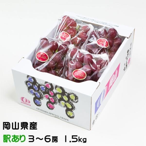 マスカットビオレは糖度が高く、種無しで皮ごと食べられる冬の葡萄です。しかしとても栽培が難しく、ぶどうの名産地として知られる岡山県でも生産者がほとんどいない希少な品種です。上品なマスカットの香りと濃いルビー色の美しさは、一度食べると忘れられな...