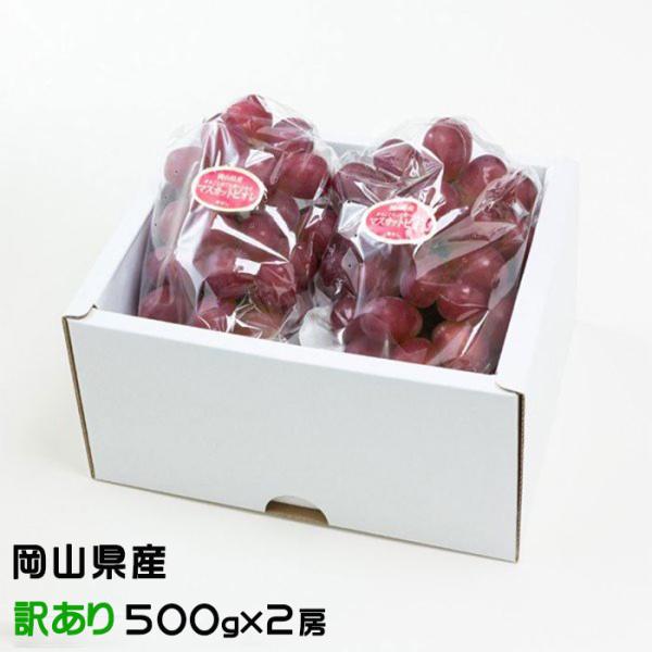 マスカットビオレは糖度が高く、種無しで皮ごと食べられる冬の葡萄です。しかしとても栽培が難しく、ぶどうの名産地として知られる岡山県でも生産者がほとんどいない希少な品種です。上品なマスカットの香りと濃いルビー色の美しさは、一度食べると忘れられな...