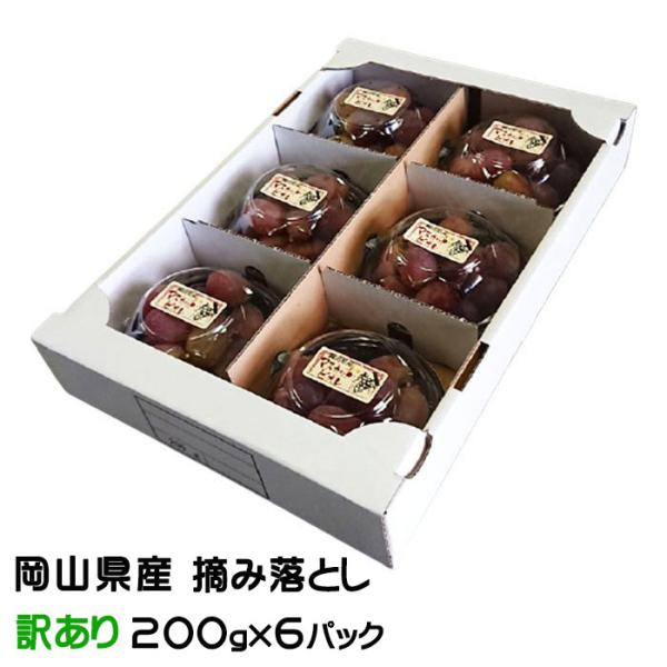 マスカットビオレは糖度が高く、種無しで皮ごと食べられる冬の葡萄です。しかしとても栽培が難しく、ぶどうの名産地として知られる岡山県でも生産者がほとんどいない希少な品種です。上品なマスカットの香りと濃いルビー色の美しさは、一度食べると忘れられな...