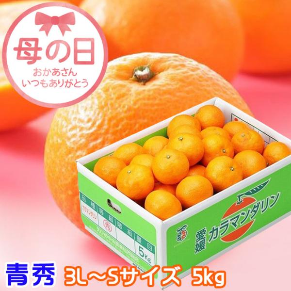 カラマンダリンはいろいろな柑橘の中で、最も樹になっている期間が長いため果汁がとても濃厚で、しかもジューシーです。濃厚な甘味とそれを支えるしっかりとした酸が感じられ、コクのある味わいをもつ柑橘です。こちらの商品は光センサーで糖度１２度以上を厳...