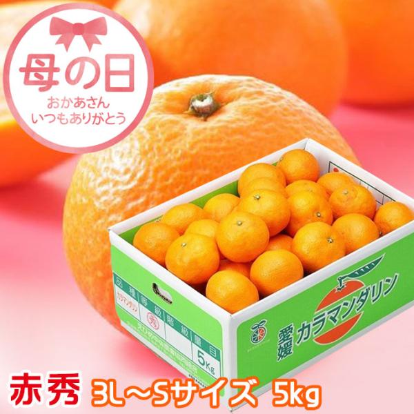 カラマンダリンはいろいろな柑橘の中で、最も樹になっている期間が長いため果汁がとても濃厚で、しかもジューシーです。濃厚な甘味とそれを支えるしっかりとした酸が感じられ、コクのある味わいをもつ柑橘です。こちらの商品は光センサーで糖度１３度以上を厳...