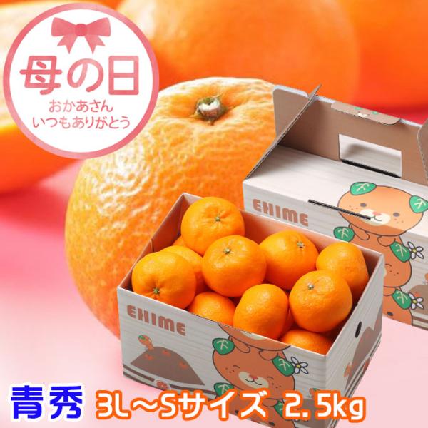 カラマンダリンはいろいろな柑橘の中で、最も樹になっている期間が長いため果汁がとても濃厚で、しかもジューシーです。濃厚な甘味とそれを支えるしっかりとした酸が感じられ、コクのある味わいをもつ柑橘です。こちらの商品は光センサーで糖度１２度以上を厳...