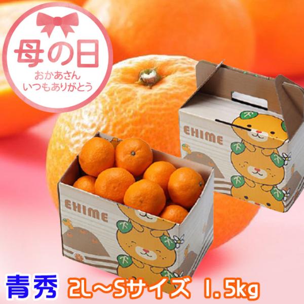 カラマンダリンはいろいろな柑橘の中で、最も樹になっている期間が長いため果汁がとても濃厚で、しかもジューシーです。濃厚な甘味とそれを支えるしっかりとした酸が感じられ、コクのある味わいをもつ柑橘です。こちらの商品は光センサーで糖度１２度以上を厳...