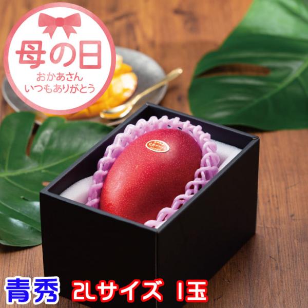 宮崎県産の完熟マンゴーは、アーウィン種で通称アップルマンゴーとも呼ばれ、日本での栽培の96%を占めるマンゴーの中でも一番人気のある種類です。「完熟」の名にふさわしく、木になっているマンゴーの下に袋状のネットをかけ、マンゴーが完全に熟して自然...