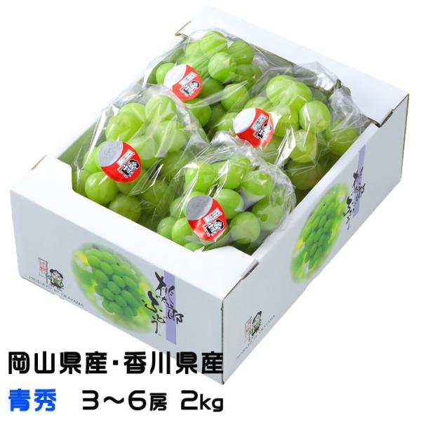 桃太郎ぶどうは20年余りの歳月をかけて生み出された岡山の新しい葡萄です。皮が薄くて柔らかく、種もないため、皮ごとそのまま食べられます。実は固めで甘く、皮の部分の酸味と若干の渋味が実の甘さと調和して、他の葡萄にはない美味しさが感じられます。ご...