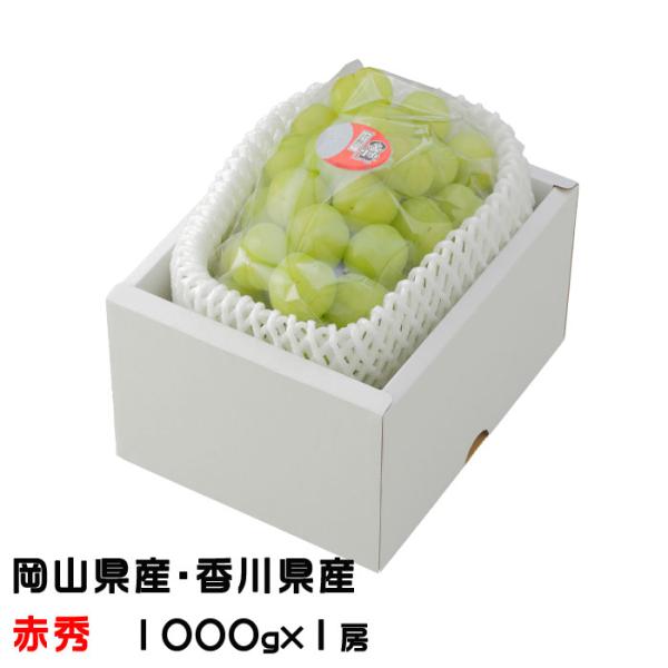 桃太郎ぶどうは20年余りの歳月をかけて生み出された岡山の新しい葡萄です。皮が薄くて柔らかく、種もないため、皮ごとそのまま食べられます。実は固めで甘く、皮の部分の酸味と若干の渋味が実の甘さと調和して、他の葡萄にはない美味しさが感じられます。ご...