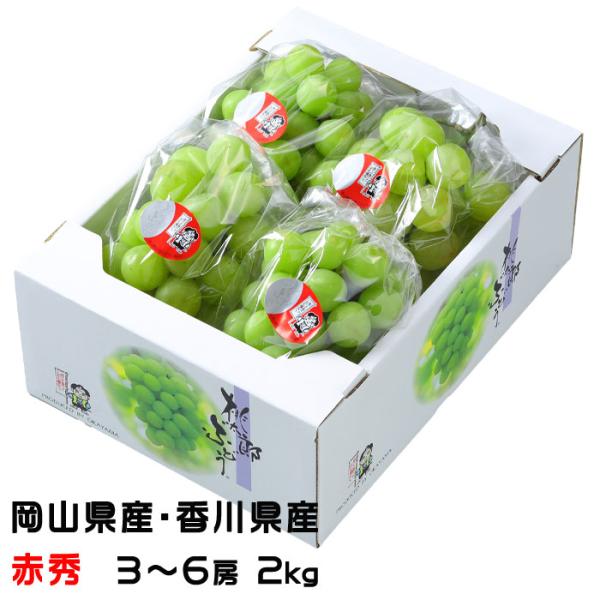 桃太郎ぶどうは20年余りの歳月をかけて生み出された岡山の新しい葡萄です。皮が薄くて柔らかく、種もないため、皮ごとそのまま食べられます。実は固めで甘く、皮の部分の酸味と若干の渋味が実の甘さと調和して、他の葡萄にはない美味しさが感じられます。ご...