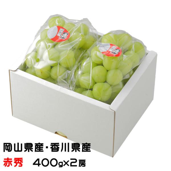 桃太郎ぶどうは20年余りの歳月をかけて生み出された岡山の新しい葡萄です。皮が薄くて柔らかく、種もないため、皮ごとそのまま食べられます。実は固めで甘く、皮の部分の酸味と若干の渋味が実の甘さと調和して、他の葡萄にはない美味しさが感じられます。ご...