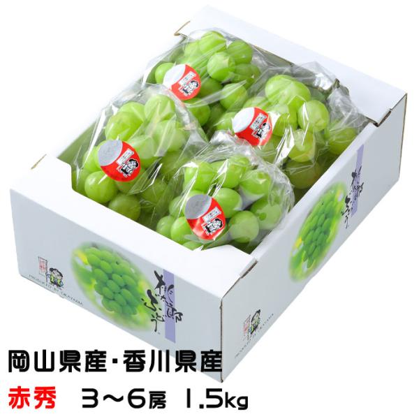 桃太郎ぶどうは20年余りの歳月をかけて生み出された岡山の新しい葡萄です。皮が薄くて柔らかく、種もないため、皮ごとそのまま食べられます。実は固めで甘く、皮の部分の酸味と若干の渋味が実の甘さと調和して、他の葡萄にはない美味しさが感じられます。ご...