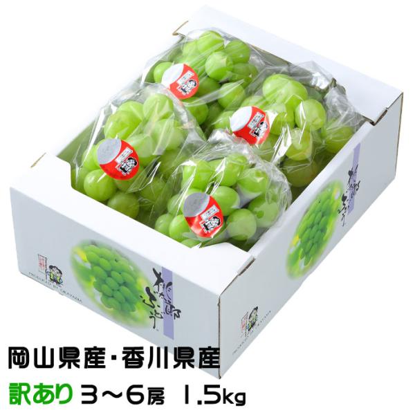 桃太郎ぶどうは20年余りの歳月をかけて生み出された岡山の新しい葡萄です。皮が薄くて柔らかく、種もないため、皮ごとそのまま食べられます。実は固めで甘く、皮の部分の酸味と若干の渋味が実の甘さと調和して、他の葡萄にはない美味しさが感じられます。ご...