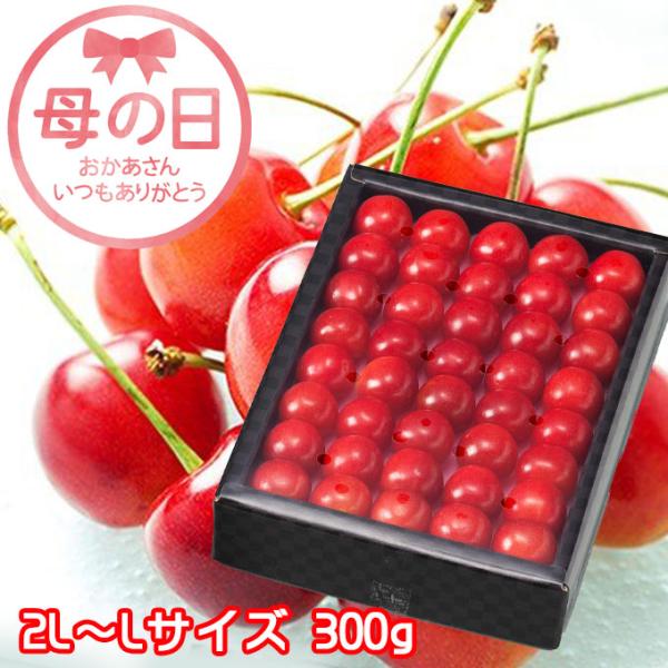 さくらんぼは丸くて、鮮やかに輝く赤い実で見た目が非常に愛らしく、ほのかな酸味と甘みが口の中いっぱいに広がります。※画像はイメージです。※天候等により出荷時期が前後する場合がございます。果物 フルーツ 旬 ギフト 贈り物 お礼 内祝 御供 ギ...