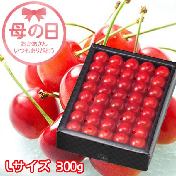 さくらんぼは丸くて、鮮やかに輝く赤い実で見た目が非常に愛らしく、ほのかな酸味と甘みが口の中いっぱいに広がります。※画像はイメージです。※天候等により出荷時期が前後する場合がございます。果物 フルーツ 旬 ギフト 贈り物 お礼 内祝 御供 ギ...