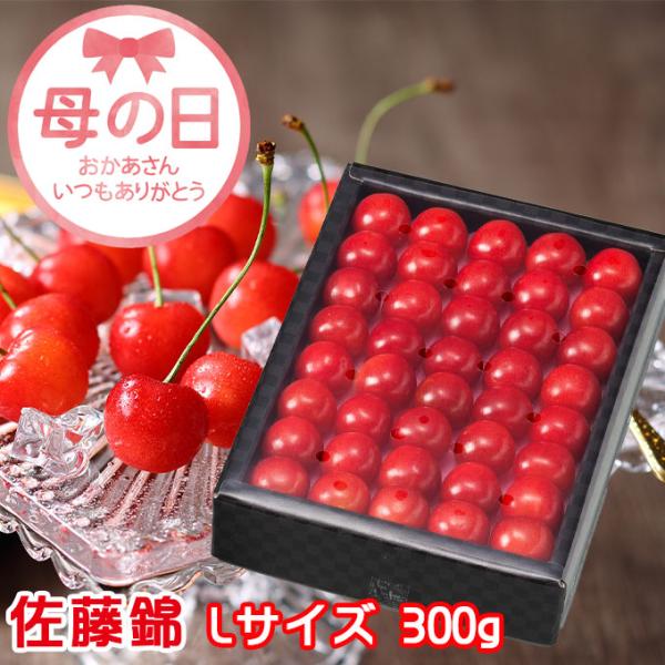 さくらんぼを代表する「佐藤錦」。山形県で佐藤栄助翁の手により「ナポレオン」と「黄玉」の交配育成により誕生し、赤いルビーとも呼ばれ生産量も知名度も大変高い人気品種です。国内最高級品種の佐藤錦は初夏から旬を迎えます。美味しい時季にぜひ大切な方へ...