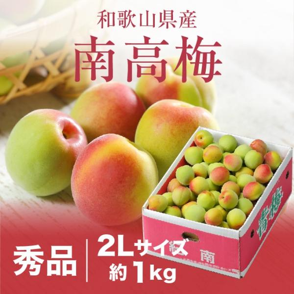 本場、紀州和歌山の高品質な「南高梅」をお届けします。南高梅は大玉で果肉はとても柔らかく種が小さいので、梅酒・梅ジュース・梅ジャム・梅干しなど様々な用途に合わせてお使いいただけます。用途別の「調理用レシピ」も同封いたておりますので初めての方も...